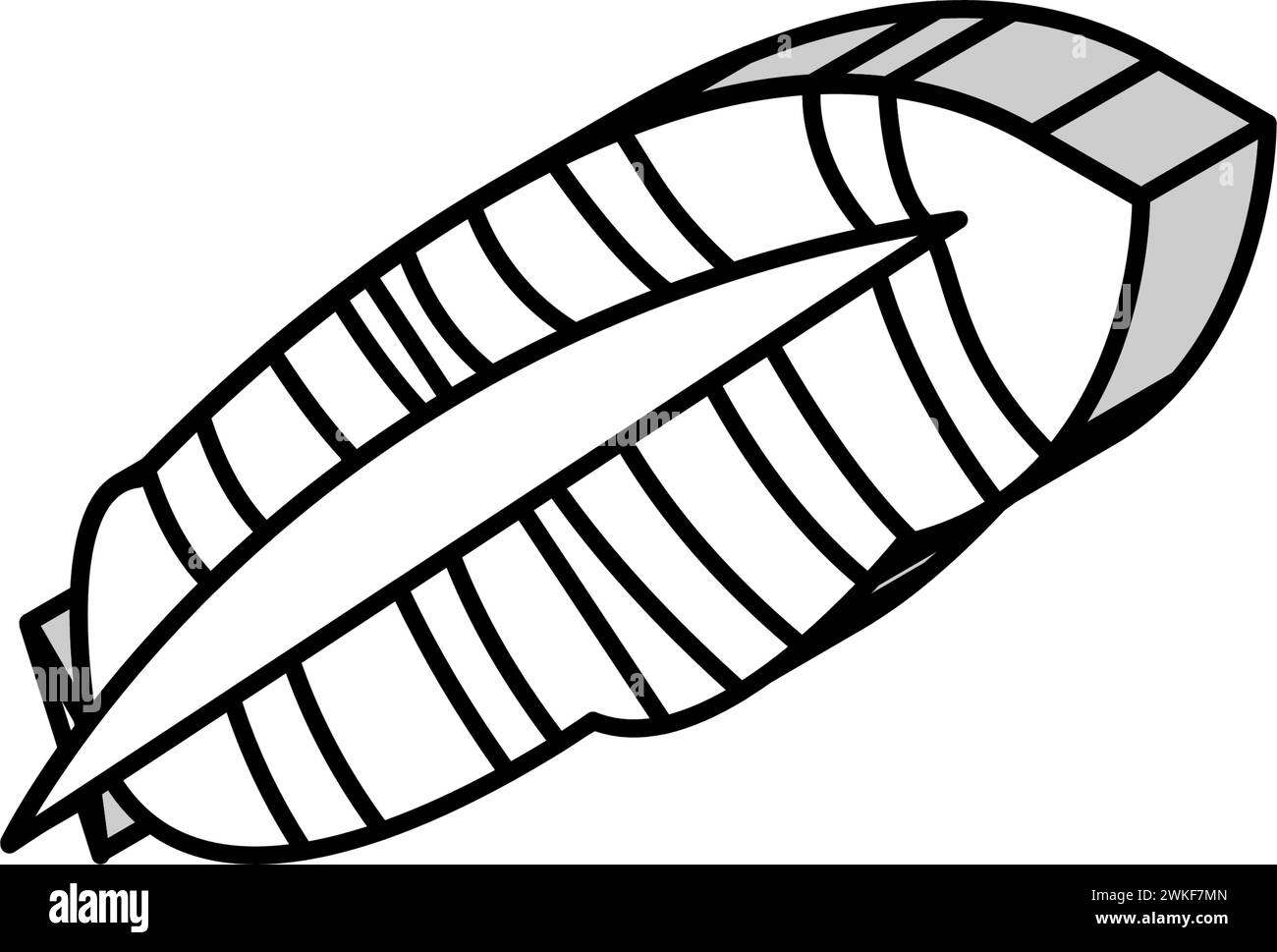 bird feather soft fluffy isometric icon vector illustration Stock ...