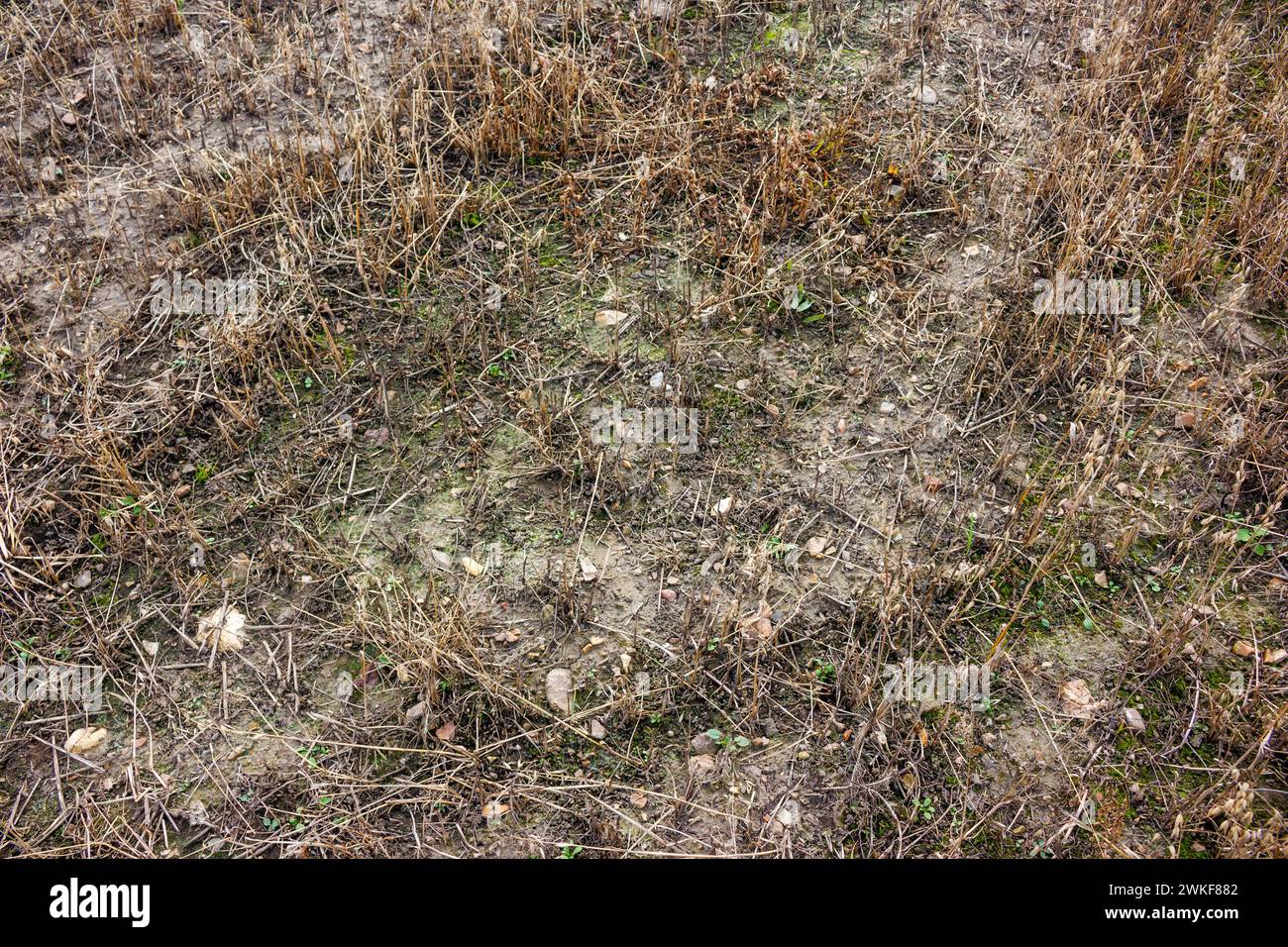 Soil remnants hi-res stock photography and images - Alamy