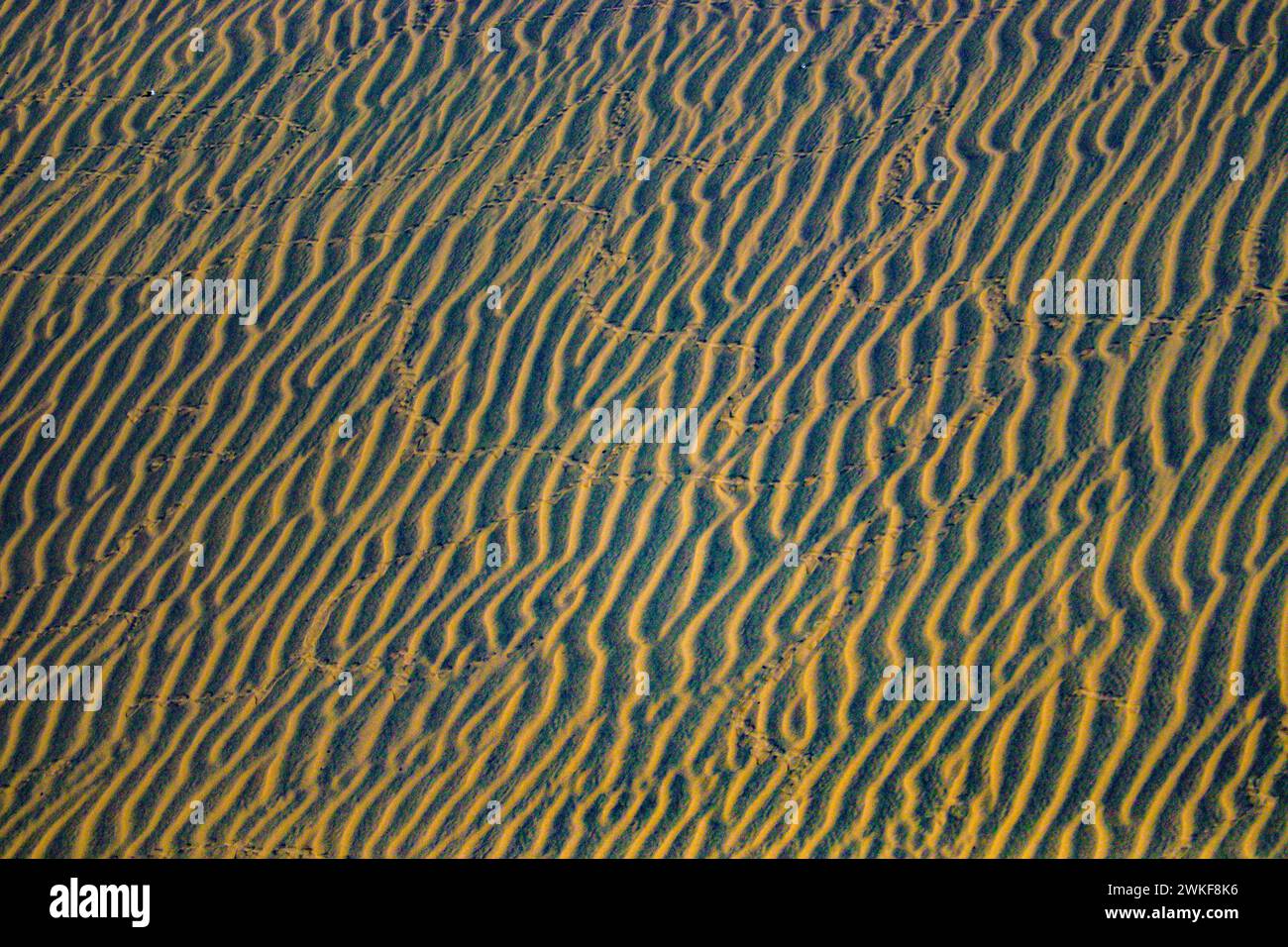 sand dune pattern from north african desert Stock Photo - Alamy