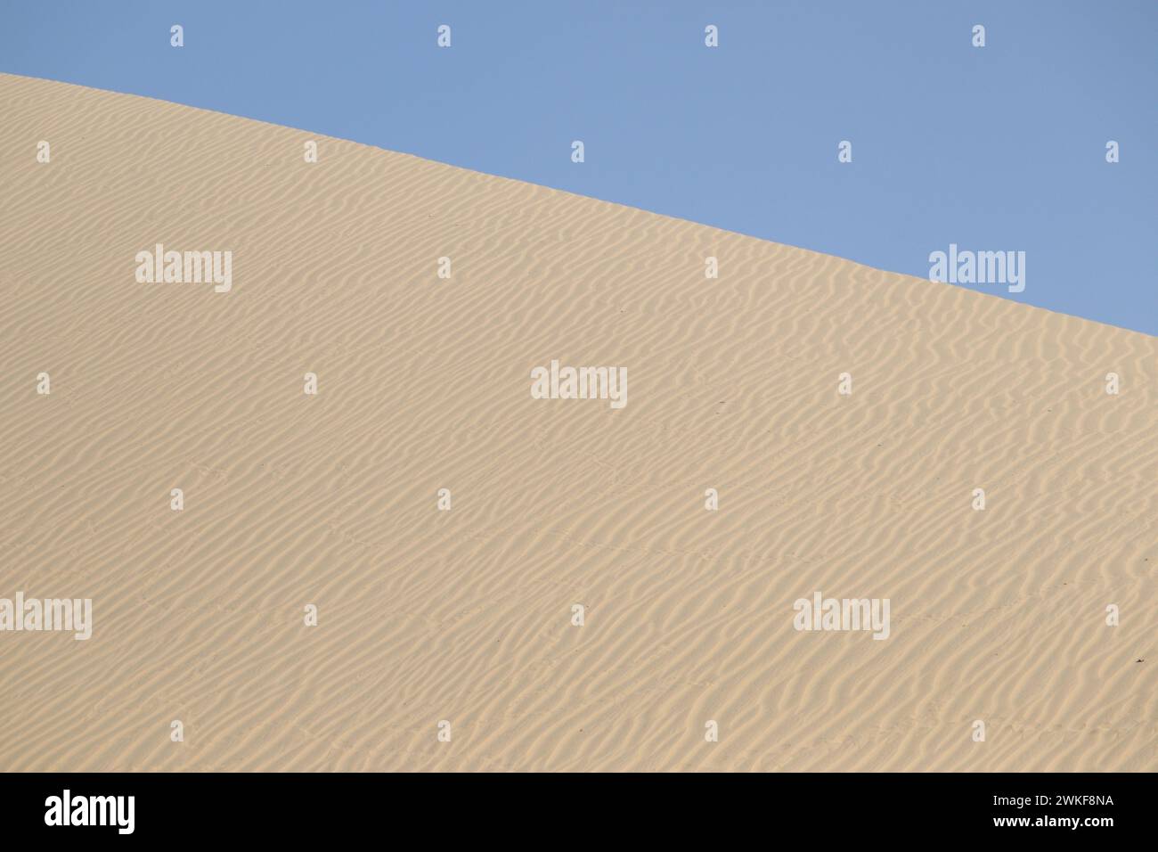 sand dune pattern from north african desert Stock Photo - Alamy