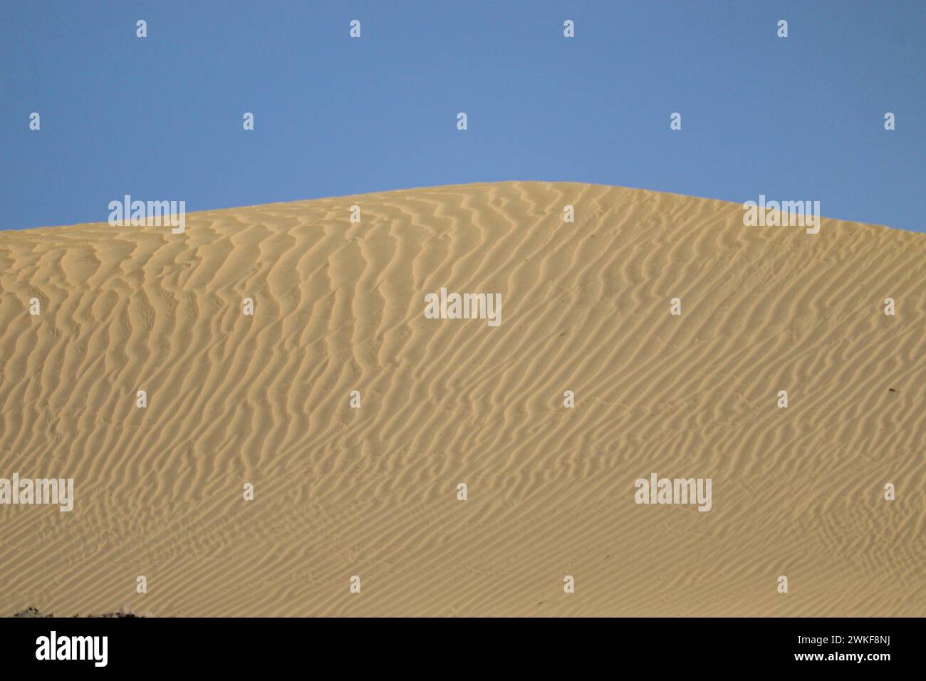 sand dune pattern from north african desert Stock Photo - Alamy