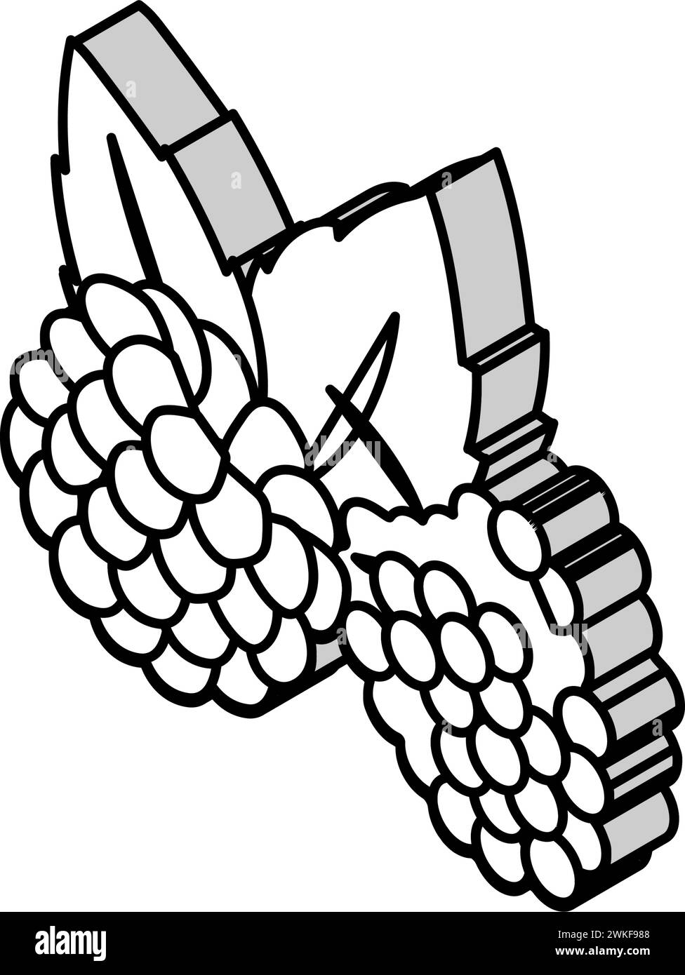 raspberry plant leaf fresh isometric icon vector illustration Stock ...