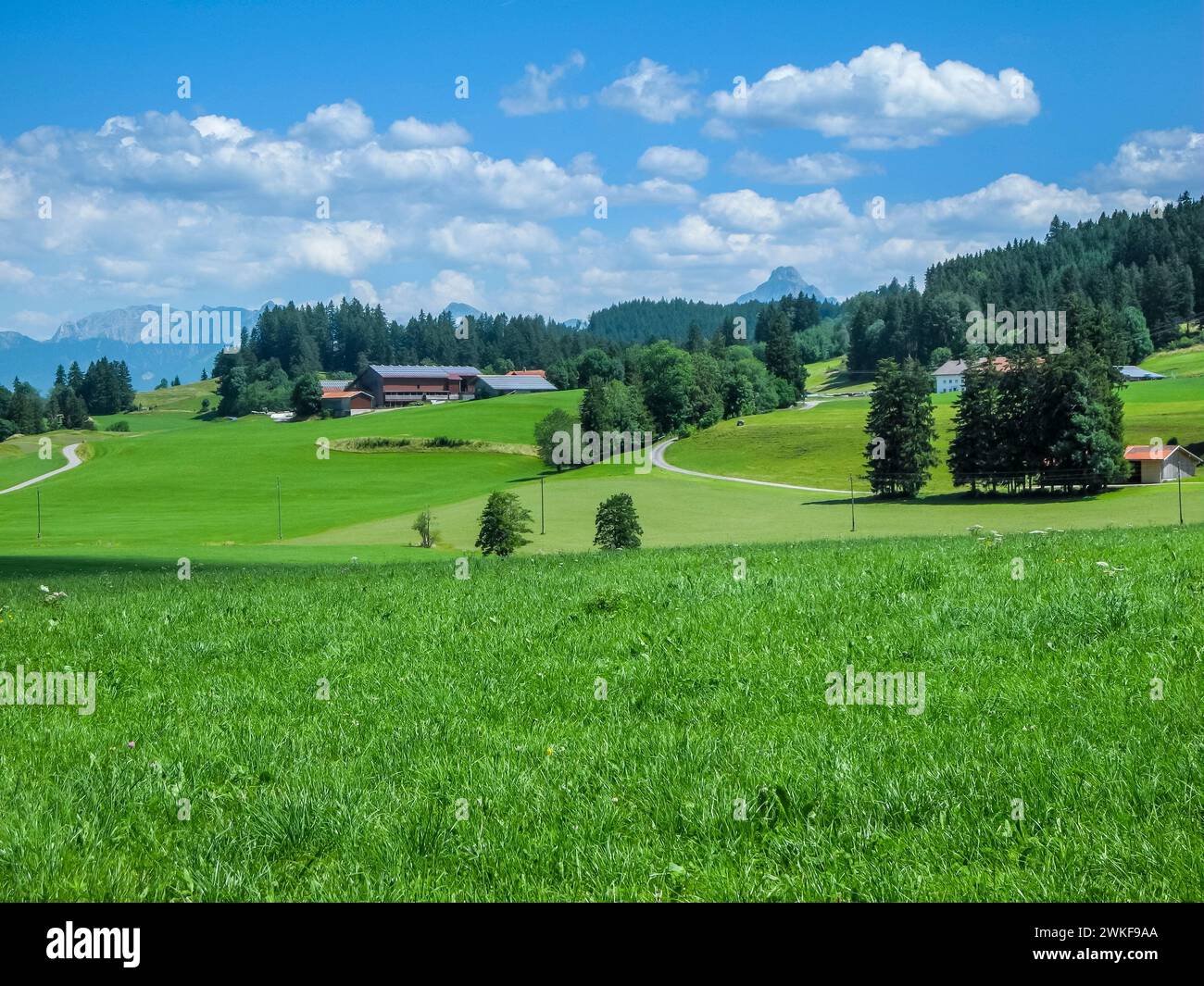 Typical landscape view in the Bavarian Alpine foothills of Allgäu with ...