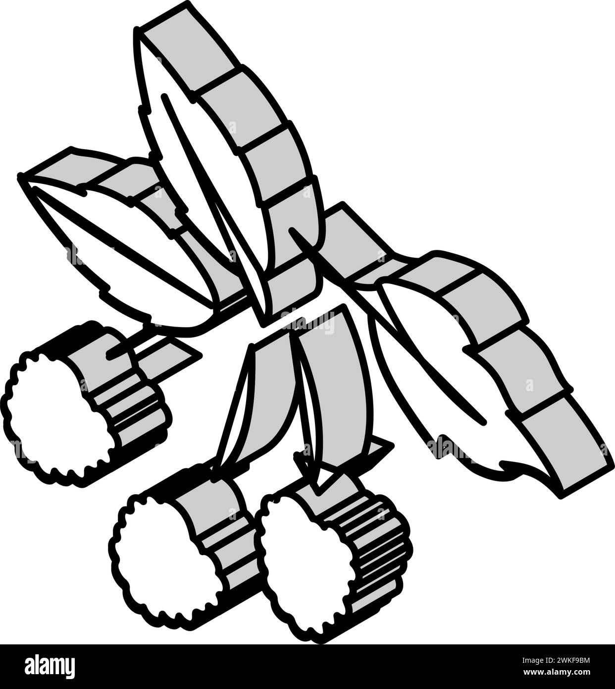 raspberry plant delicious isometric icon vector illustration Stock ...