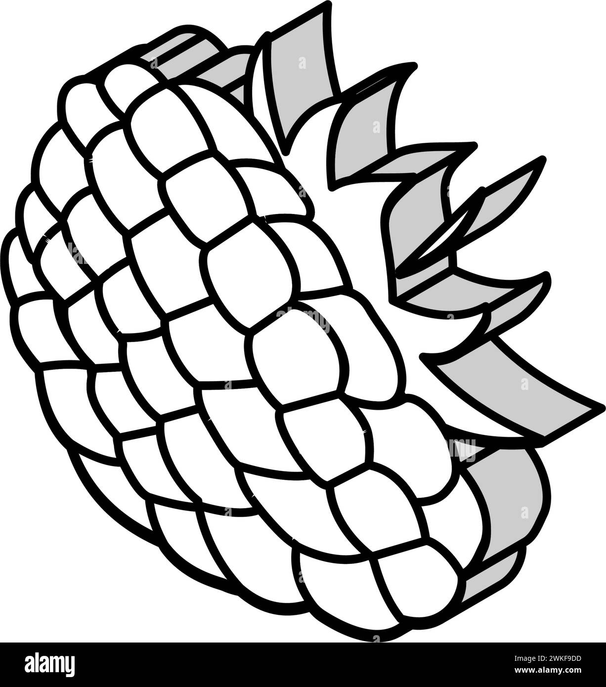 raspberry berry leaf isometric icon vector illustration Stock Vector ...