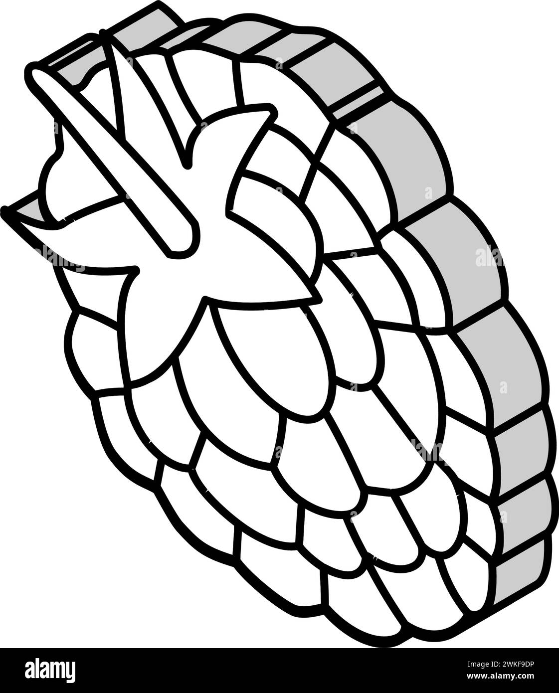 raspberry leaf berry isometric icon vector illustration Stock Vector ...