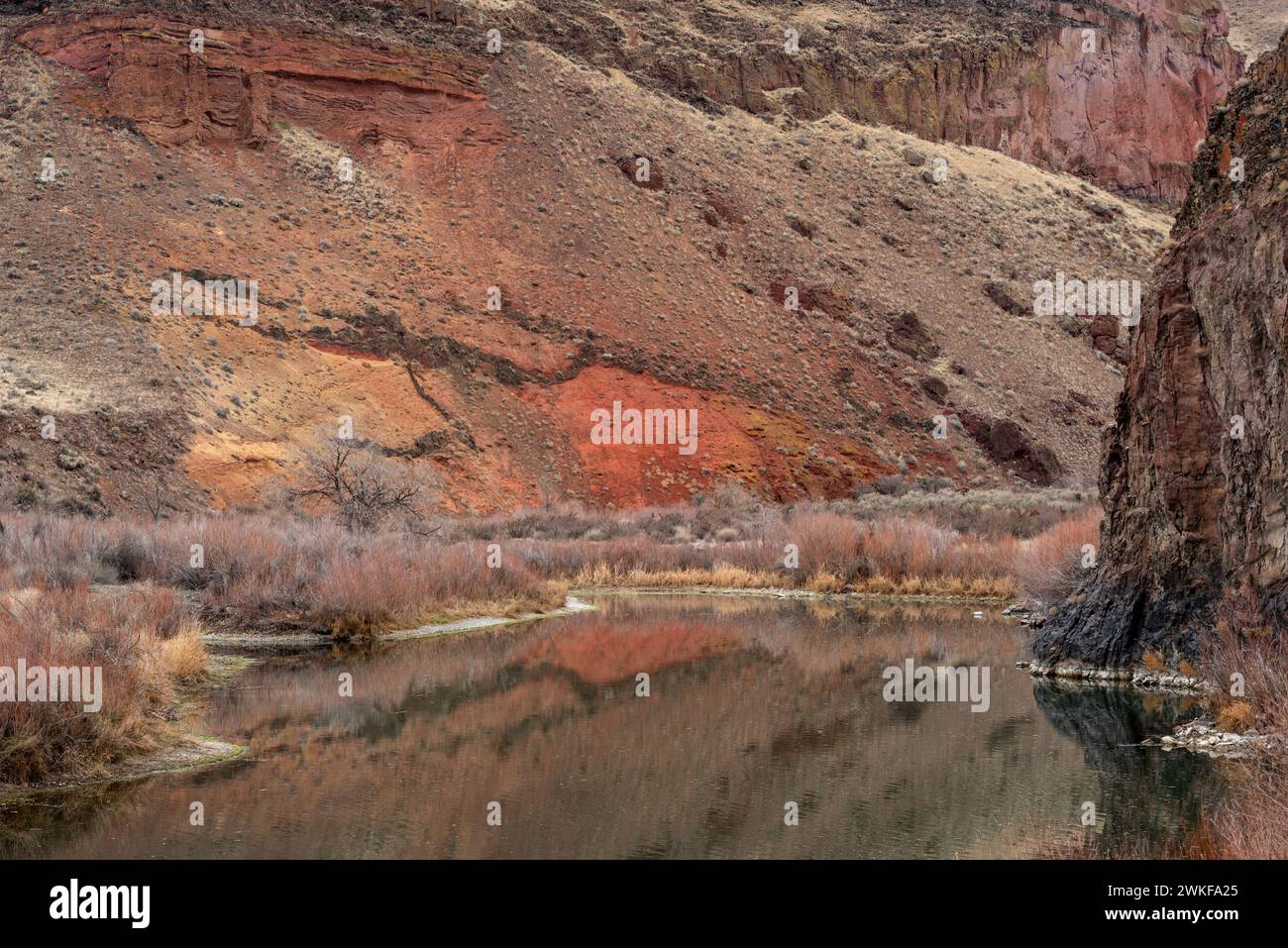 The Oyhee River flowing through a canyon in Malheur County, Oregon ...