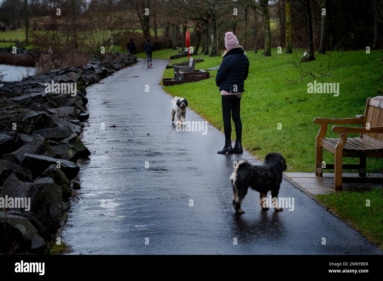 Walking canes hi-res stock photography and images - Alamy