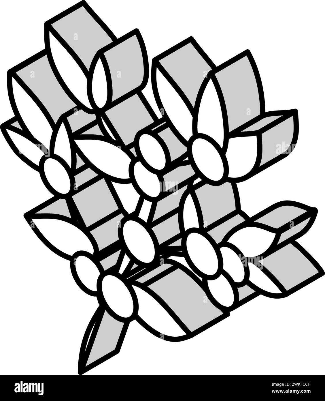 huckleberry bilbery plant isometric icon vector illustration Stock ...