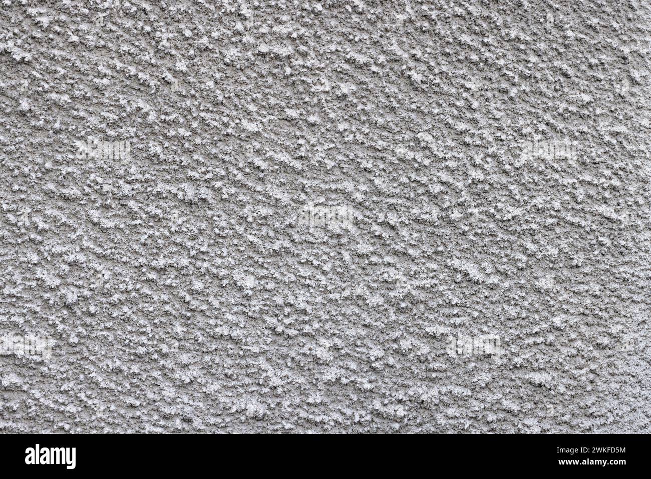 Gray, prickly, pimply texture of wall plaster with a uniform, uniform ...