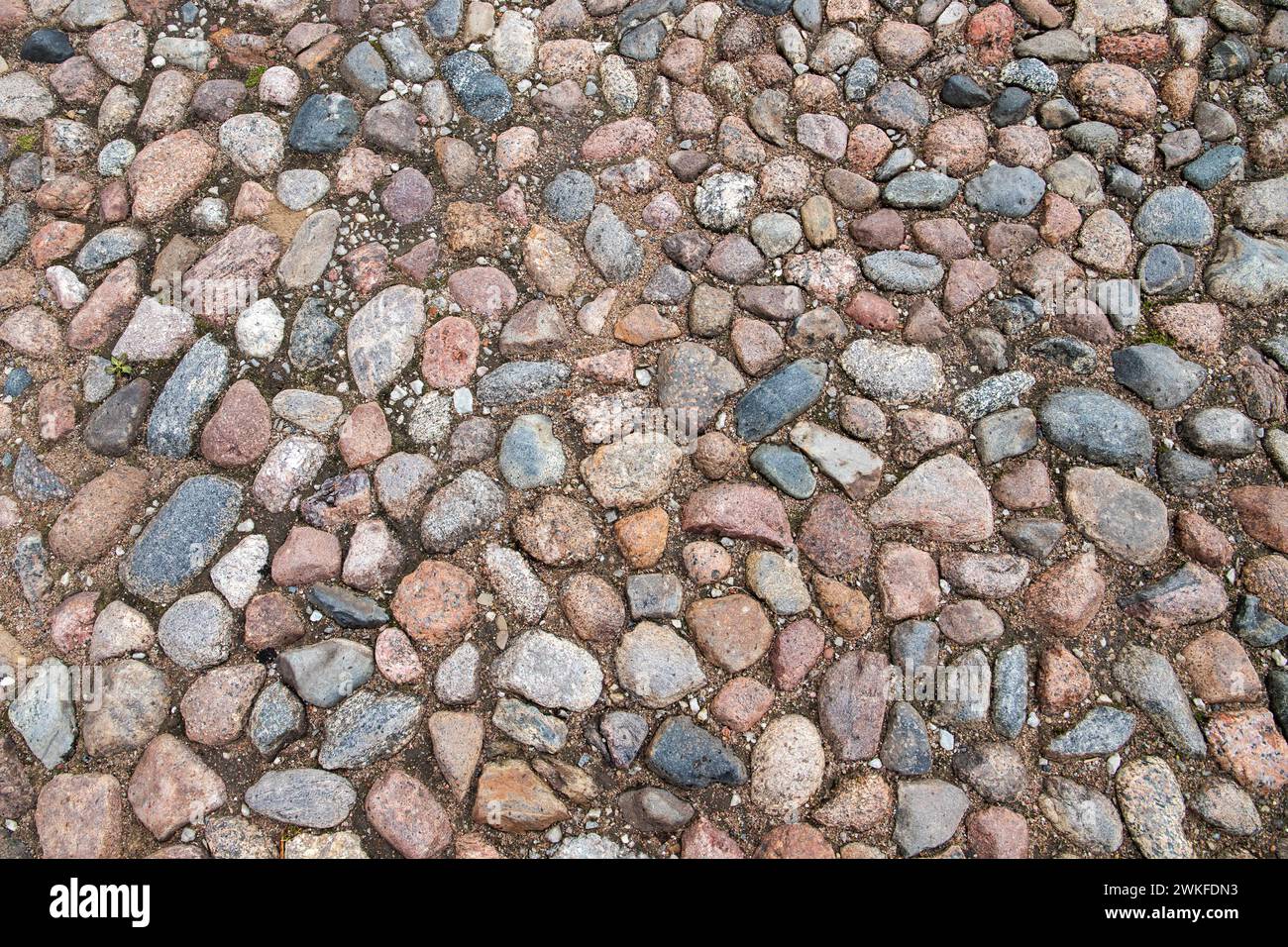 Vintage road pavement with colorful round granite stones in ground, top ...