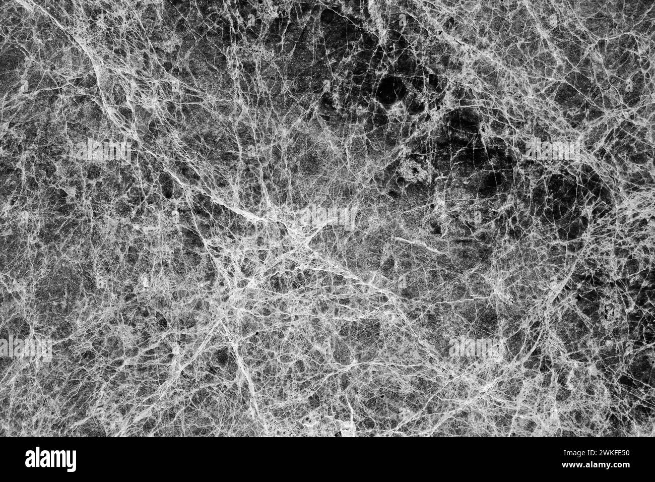 Black marble stone texture with gray and white veins. Natural ...