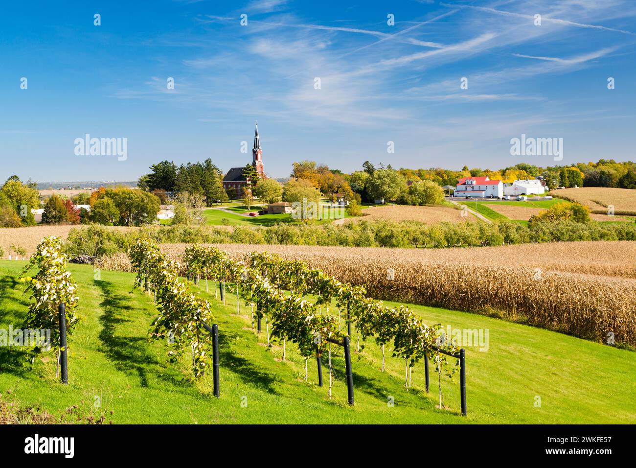 Iowa corn fields hi-res stock photography and images - Alamy