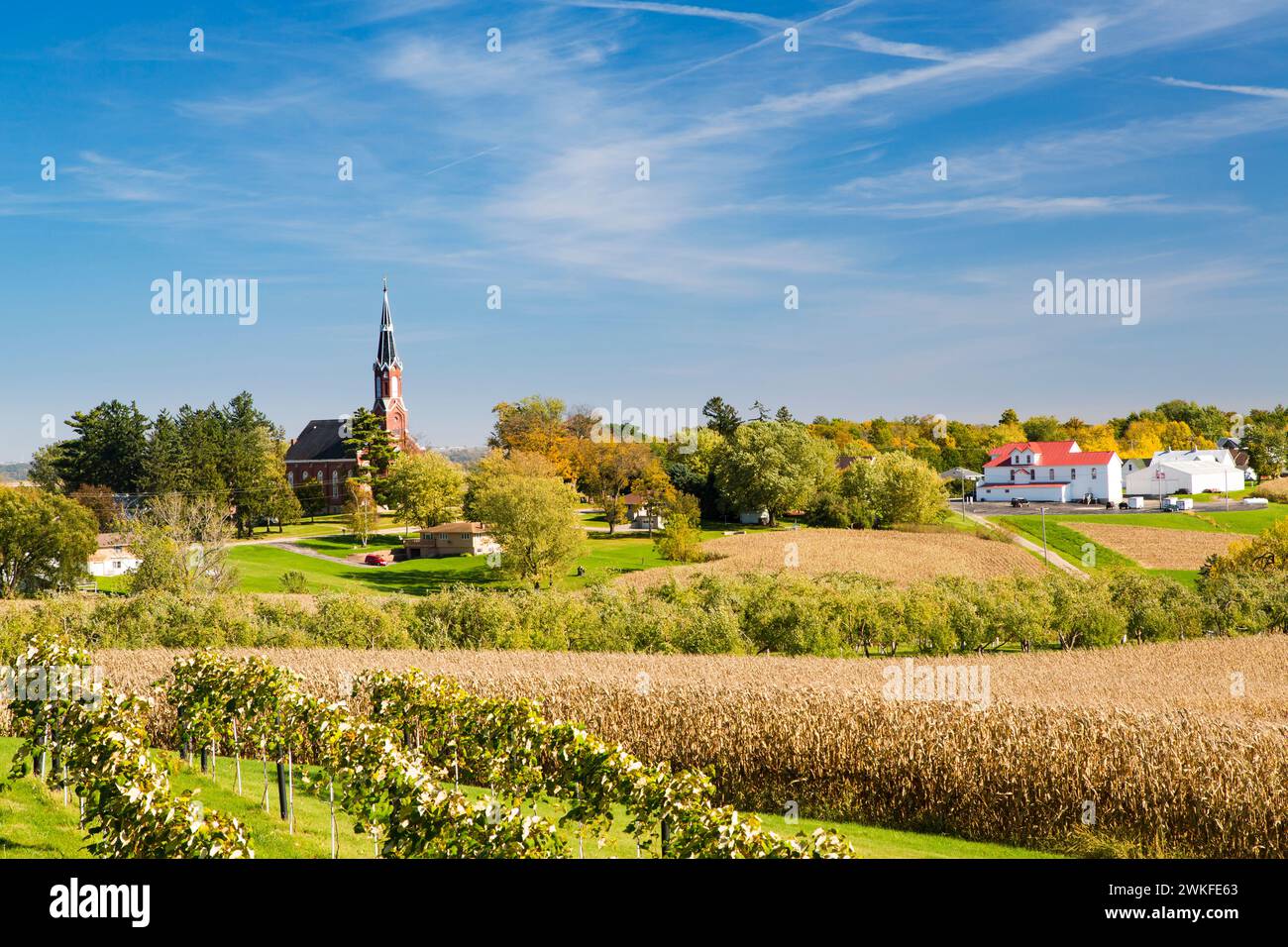 Iowa corn fields hi-res stock photography and images - Alamy
