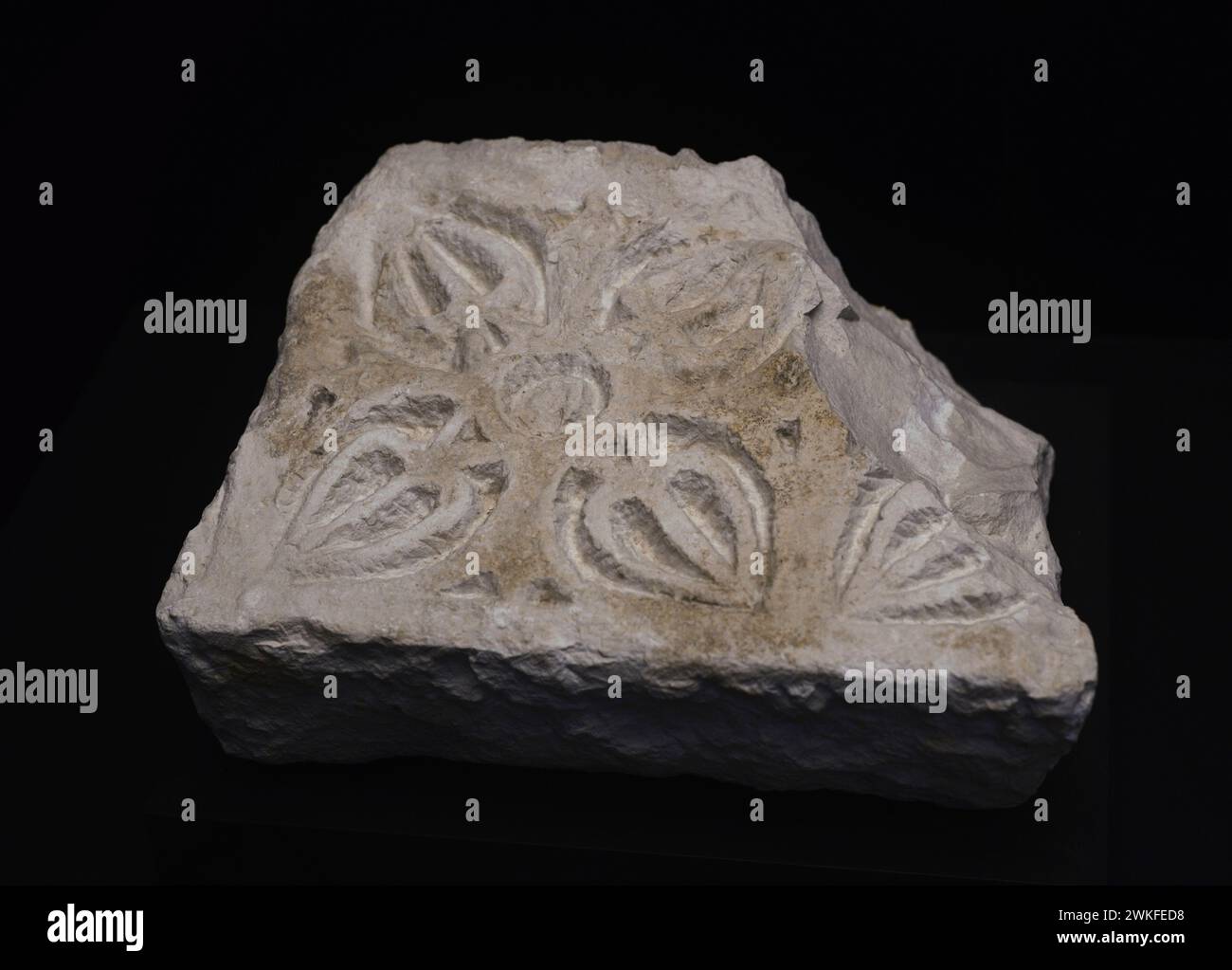 Tetrapetal hi-res stock photography and images - Alamy