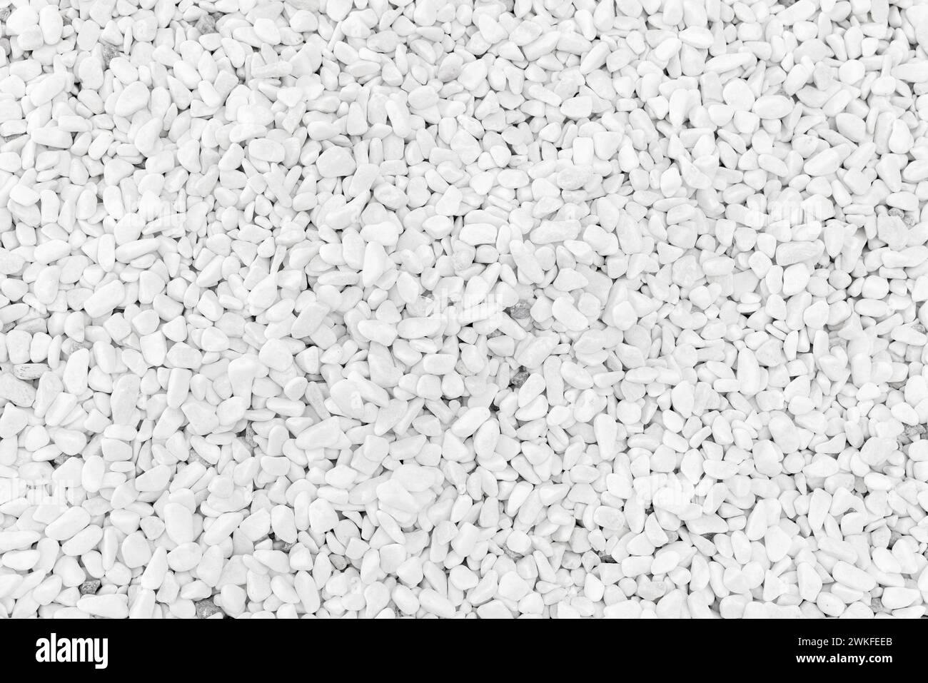 Smooth white pebble, top view, close-up background photo texture Stock ...