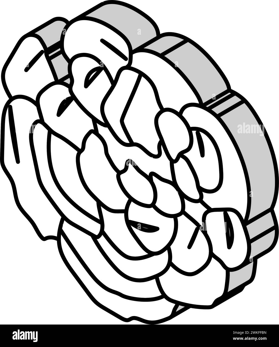 turkey tail mushroom isometric icon vector illustration Stock Vector ...