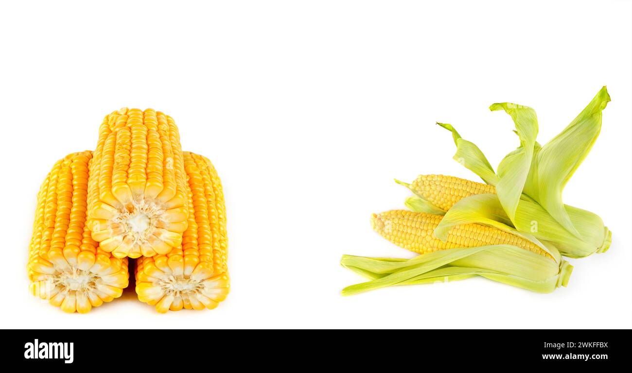 Corn cobs isolated on white background. Collage. Free space for text ...