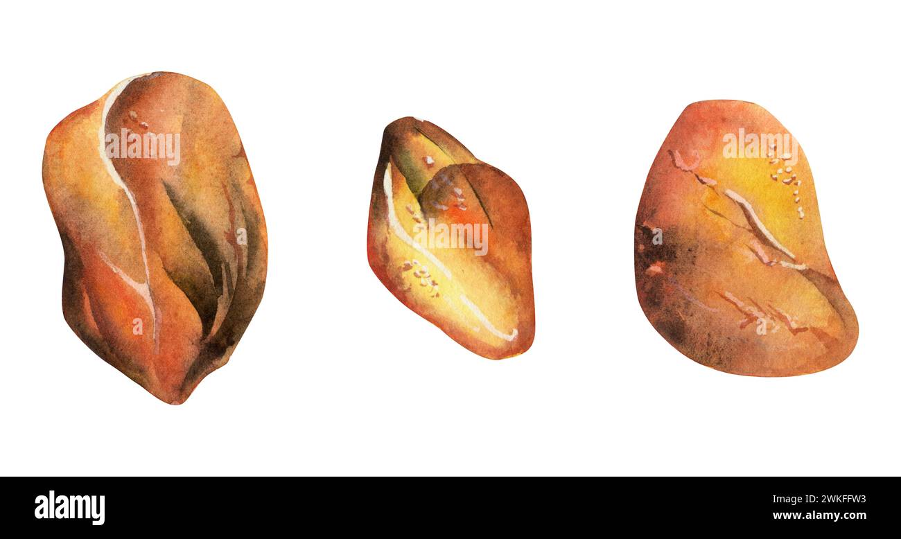 Hand drawn watercolor illustration precious semiprecious jewel gem ...