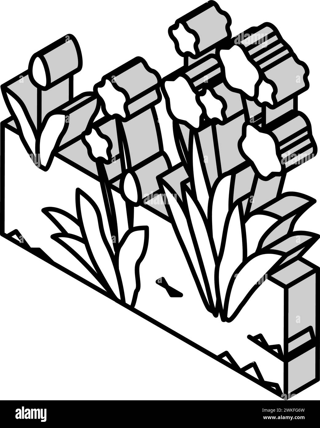 growth spring isometric icon vector illustration Stock Vector Image ...