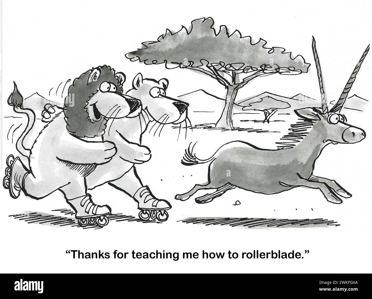 BW cartoon of a lion on rollerblades chasing a gazelle, the lion thanks ...