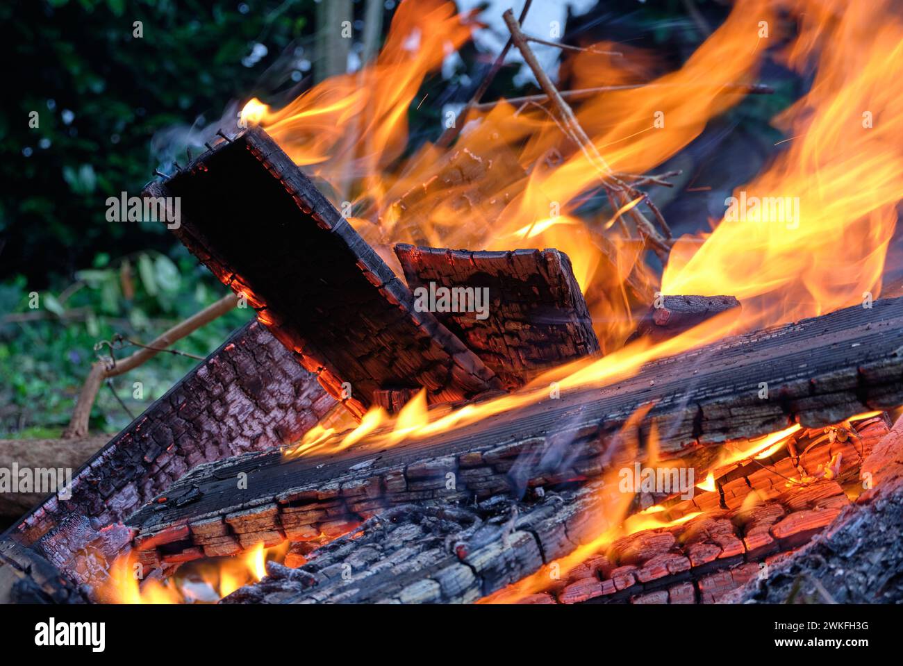 Wood burning on a garden bonfire Stock Photo - Alamy