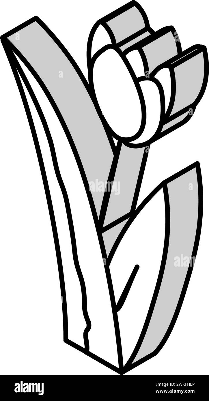 tulip flower spring isometric icon vector illustration Stock Vector ...