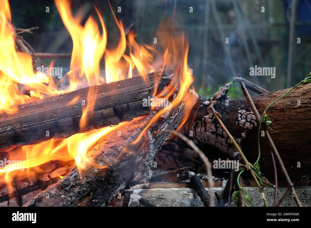Wood burning on a garden bonfire Stock Photo - Alamy