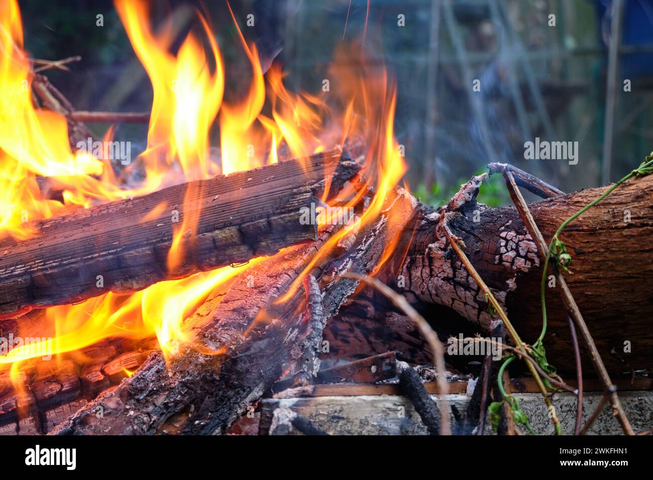 Wood burning on a garden bonfire Stock Photo - Alamy