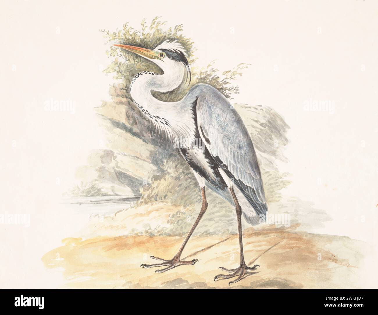 Elizabeth hi-res stock photography and images - Alamy