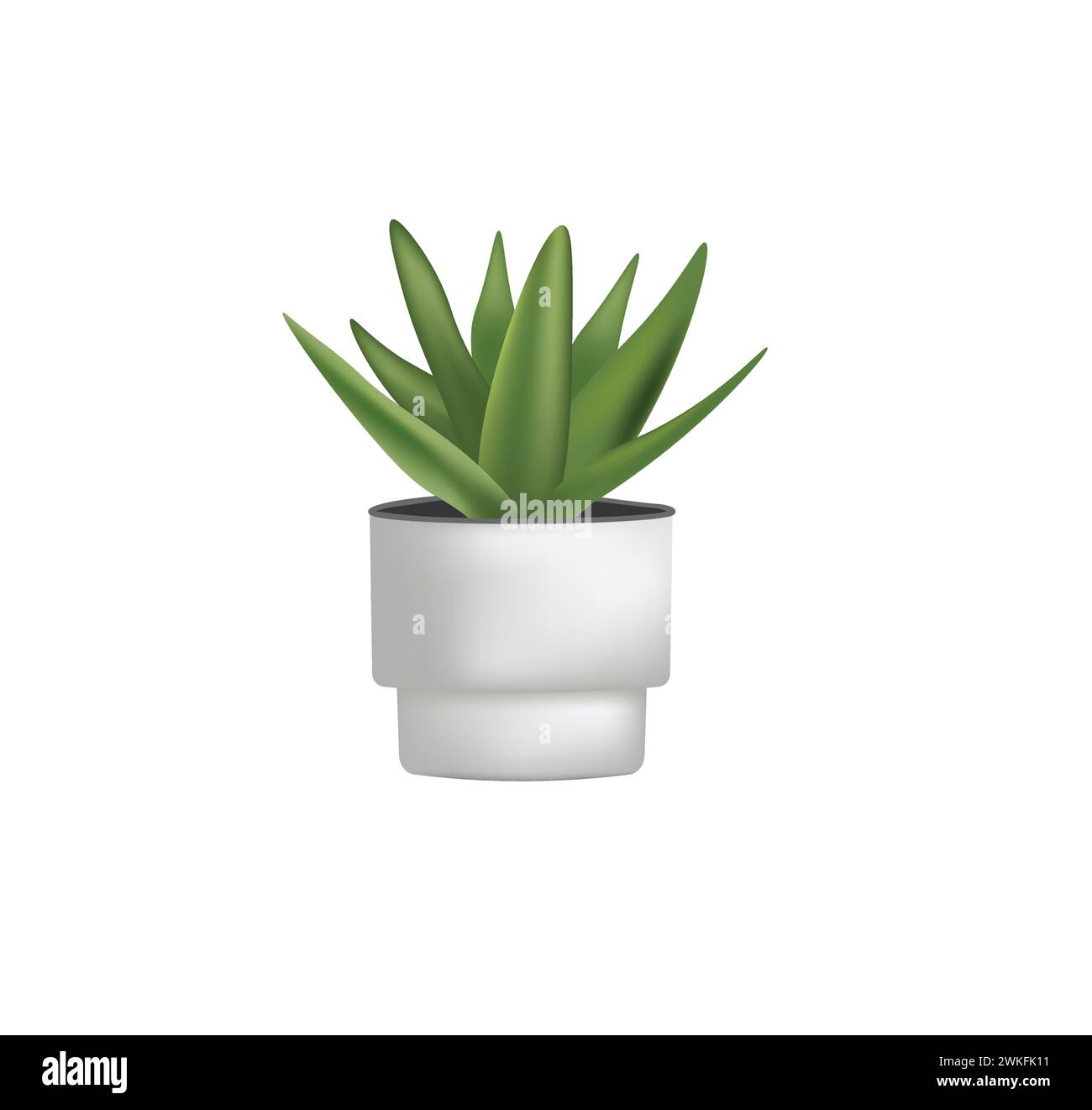 Tropical plant in plastic Stock Vector Images - Alamy