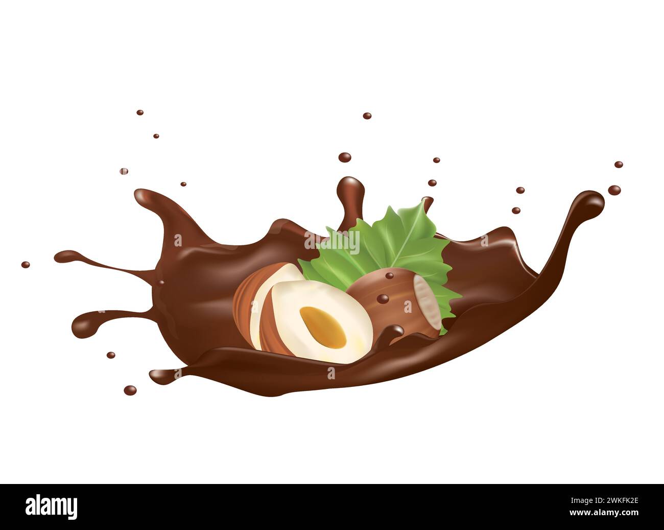 Hazelnuts in chocolate splash, vector Stock Vector Image & Art - Alamy Hazelnuts in chocolate splash, vector Stock Vector Image & Art - Alamy