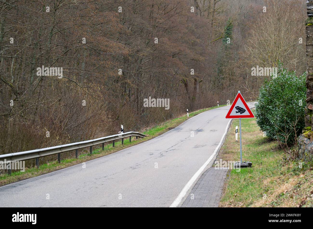 Toad crossing to spawning ground road sign, warning mating season of ...