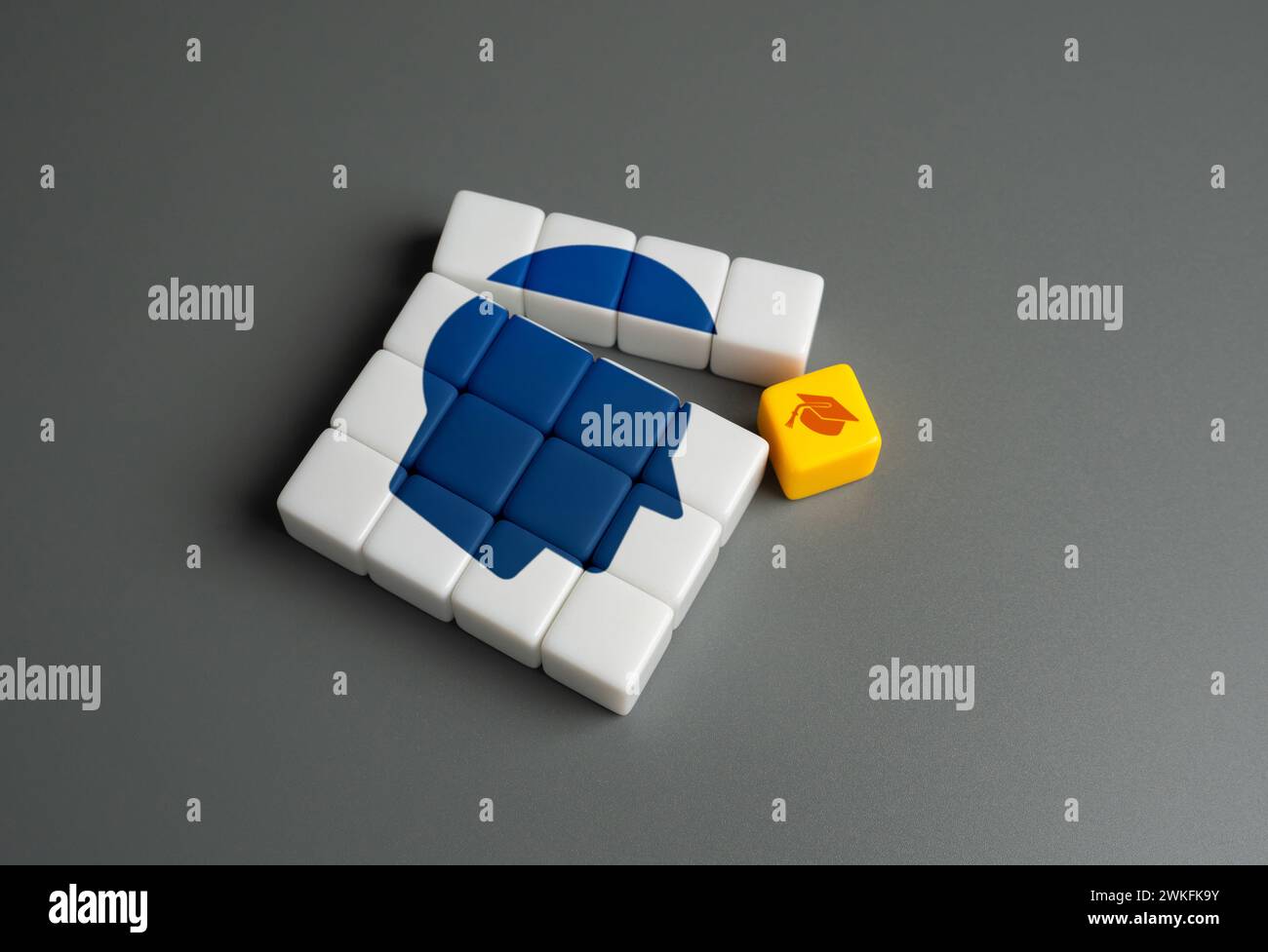 Obtaining an education. Reach graduation. Development paths and ...