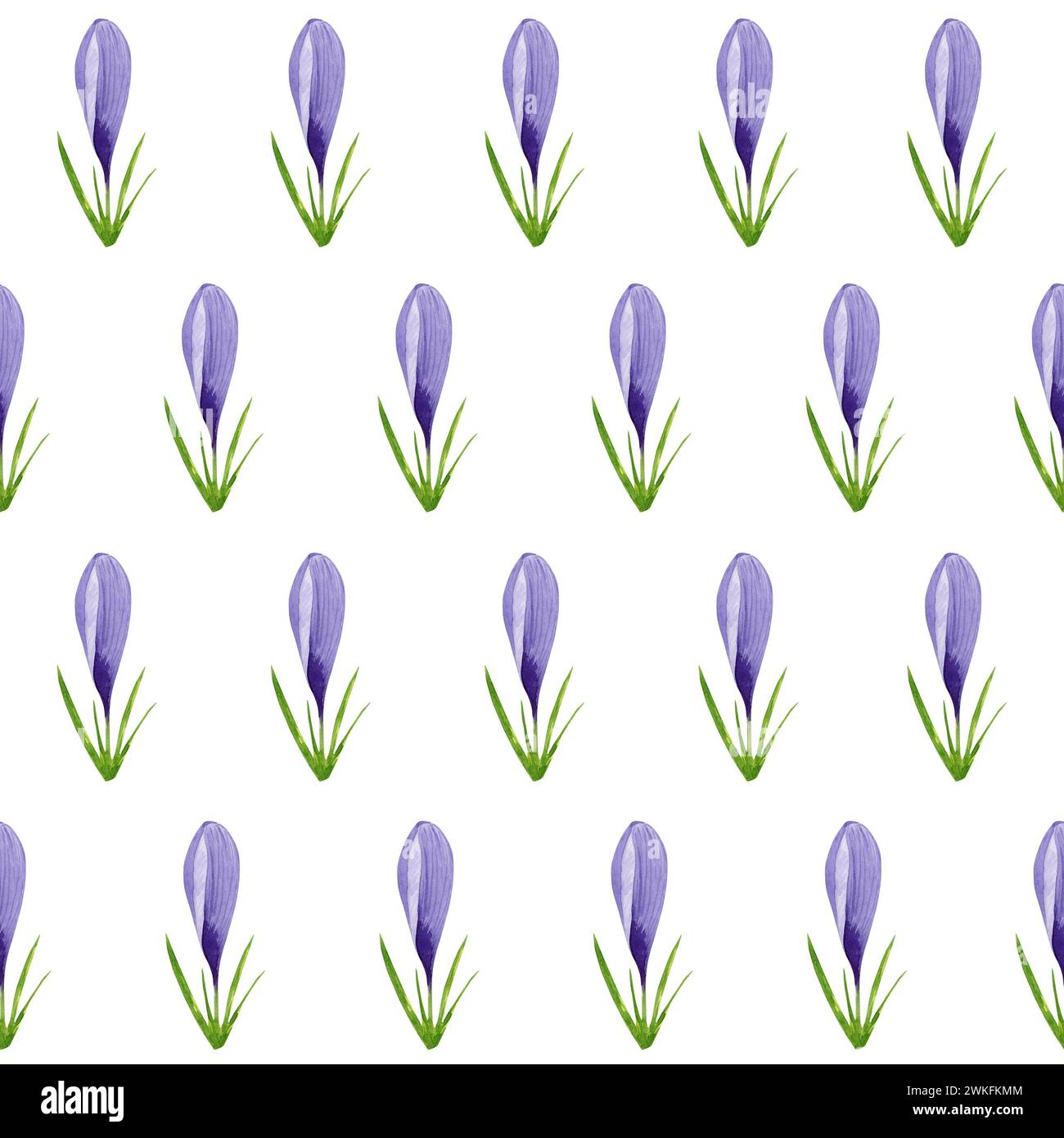 Watercolor purple crocuses seamless pattern, spring flowers digital ...