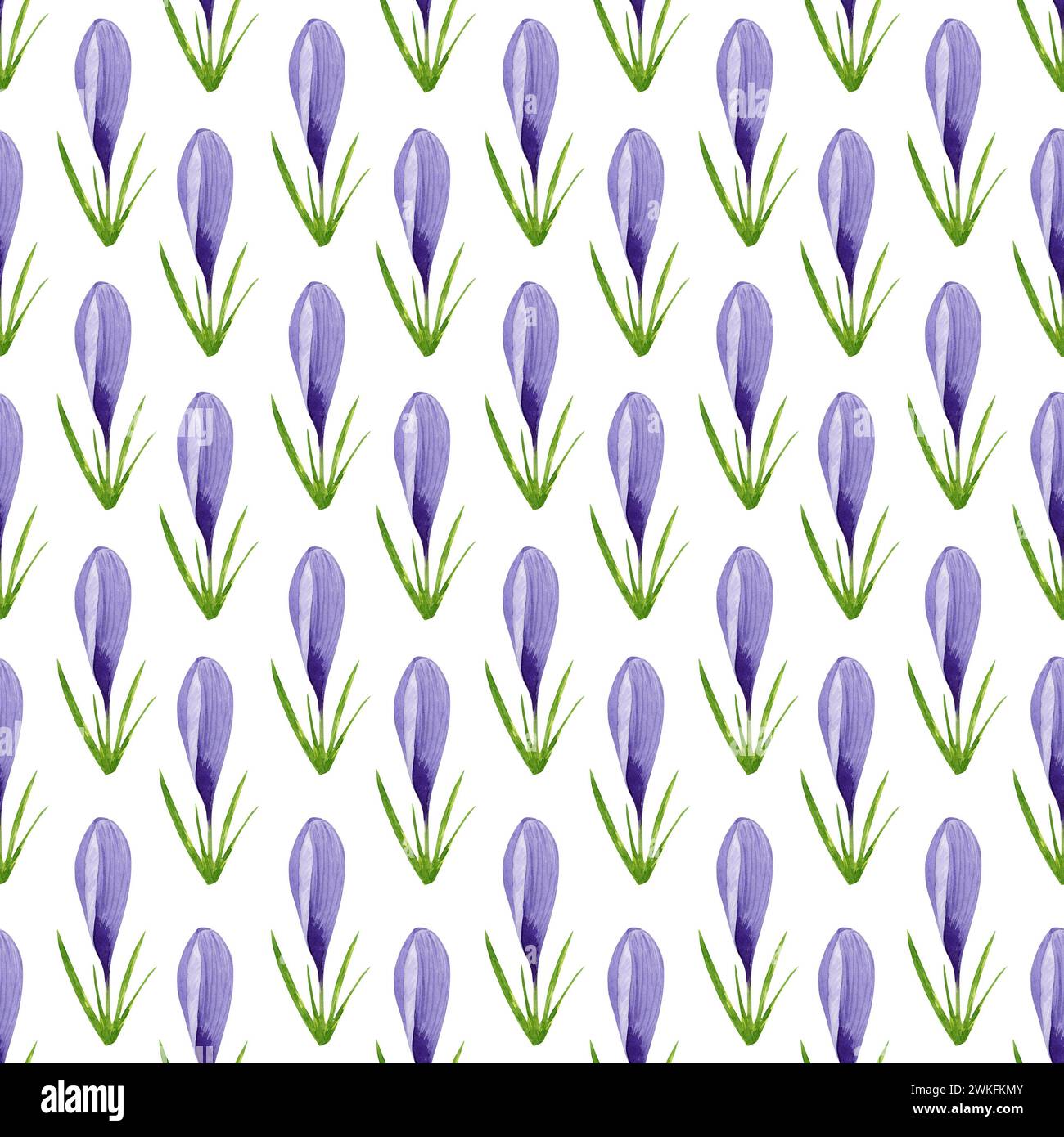 Watercolor purple crocuses seamless pattern, spring flowers digital ...