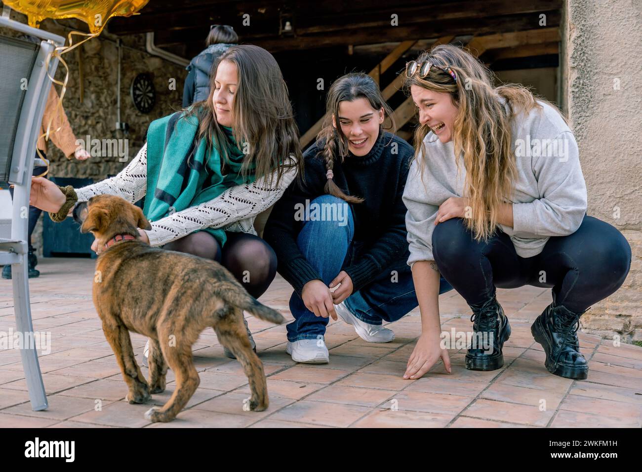 Animalism hi-res stock photography and images - Alamy