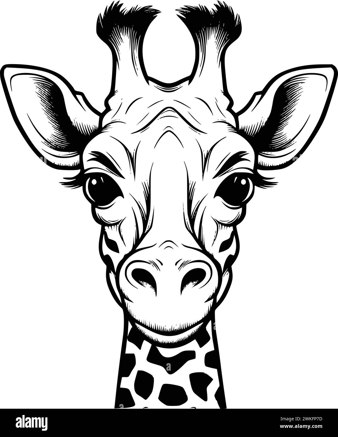Zebra coloring page Black and White Stock Photos & Images - Alamy