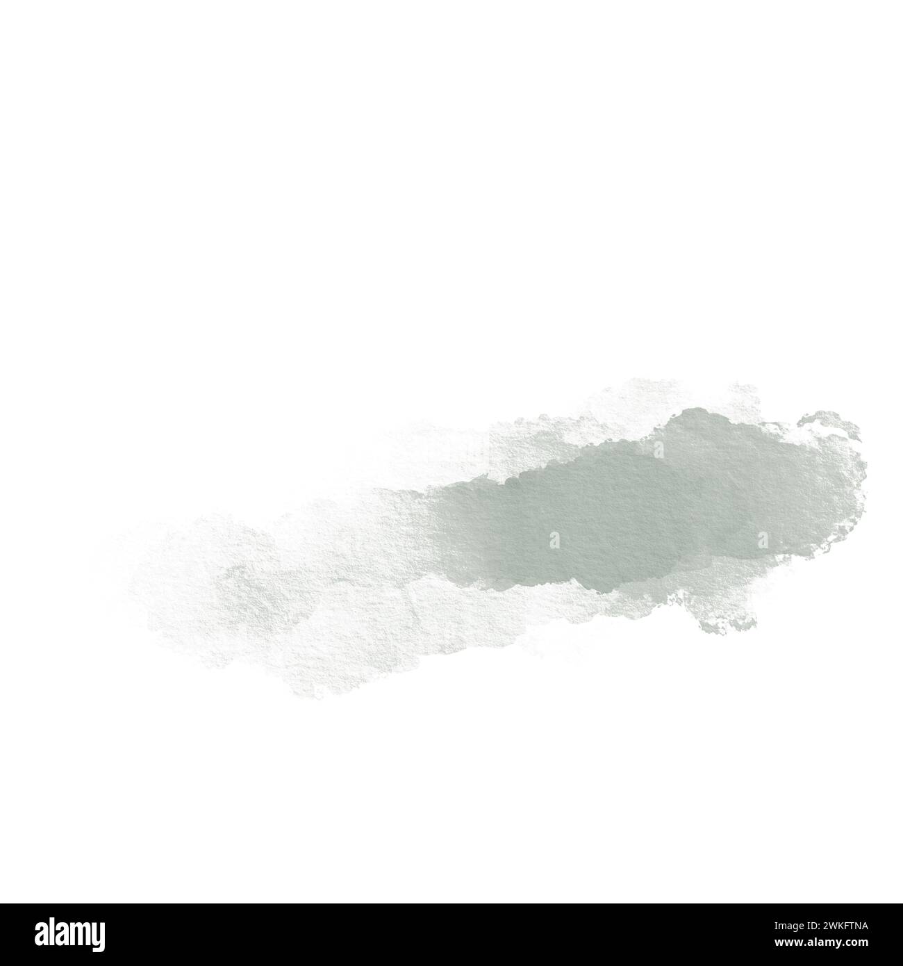 Abstract watercolor sage leaf color dynamic spot on white background ...