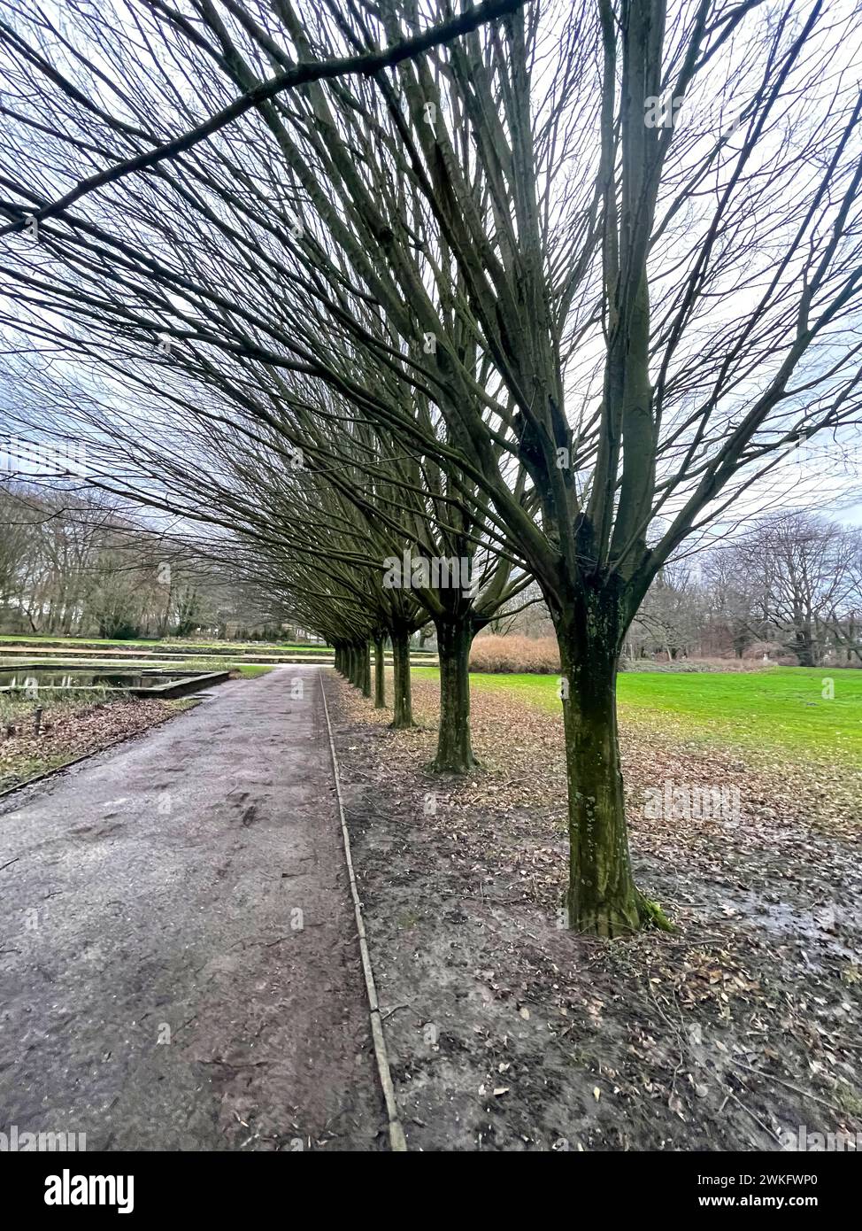 The path of desolation hi-res stock photography and images - Alamy