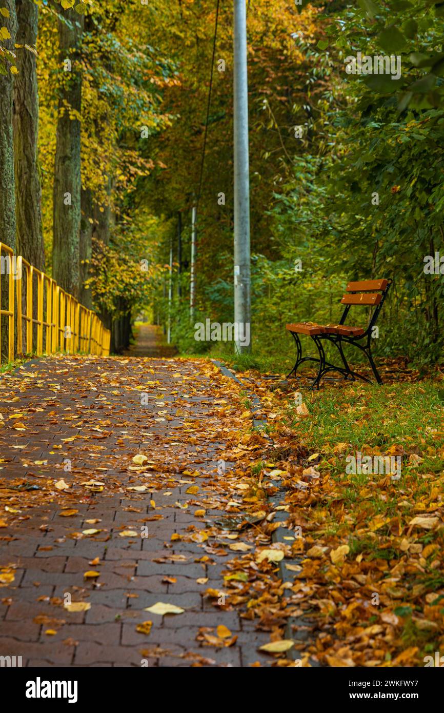 Alone wooden bench standing in park next to sidewalk with long yellow ...