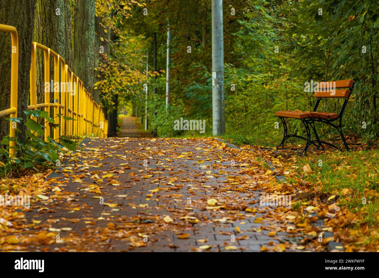Alone wooden bench standing in park next to sidewalk with long yellow ...