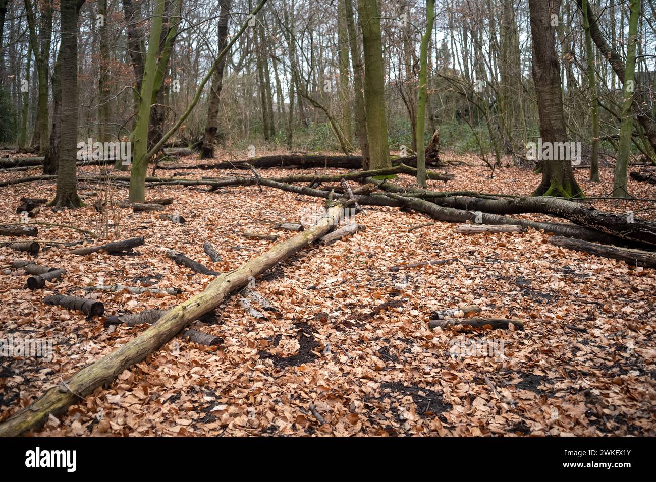Unkempt landscape hi-res stock photography and images - Alamy