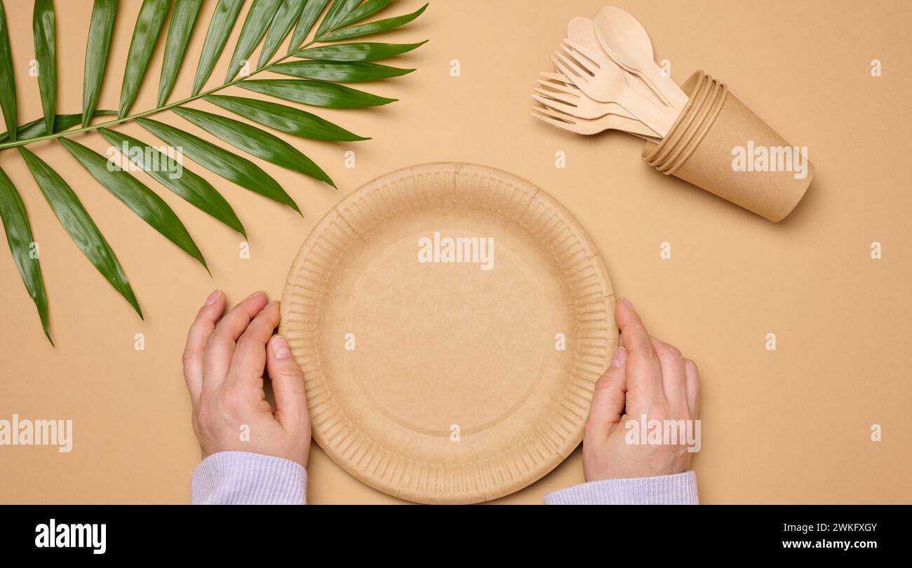 Paper plates and cups on a beige background, top view Stock Photo - Alamy