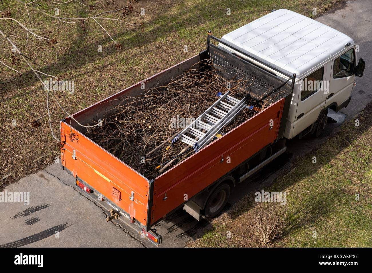 Tree Trimming and gardening service. tree branches trimmed and loaded ...