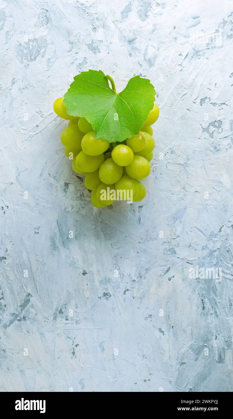 Top view of green vine, and ripe grape on vintage gray stone table ...