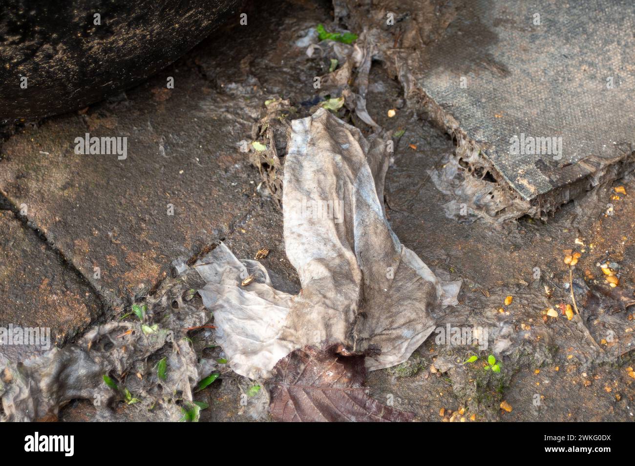 Tampons environment hi-res stock photography and images - Alamy