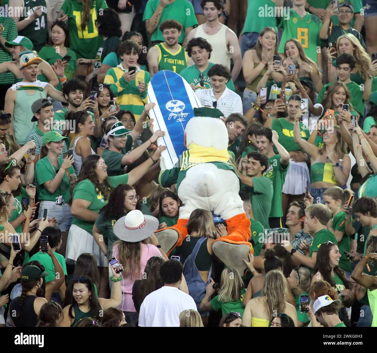 September 16, 2023 - The Oregon Duck mascot surfs the crowd during a ...