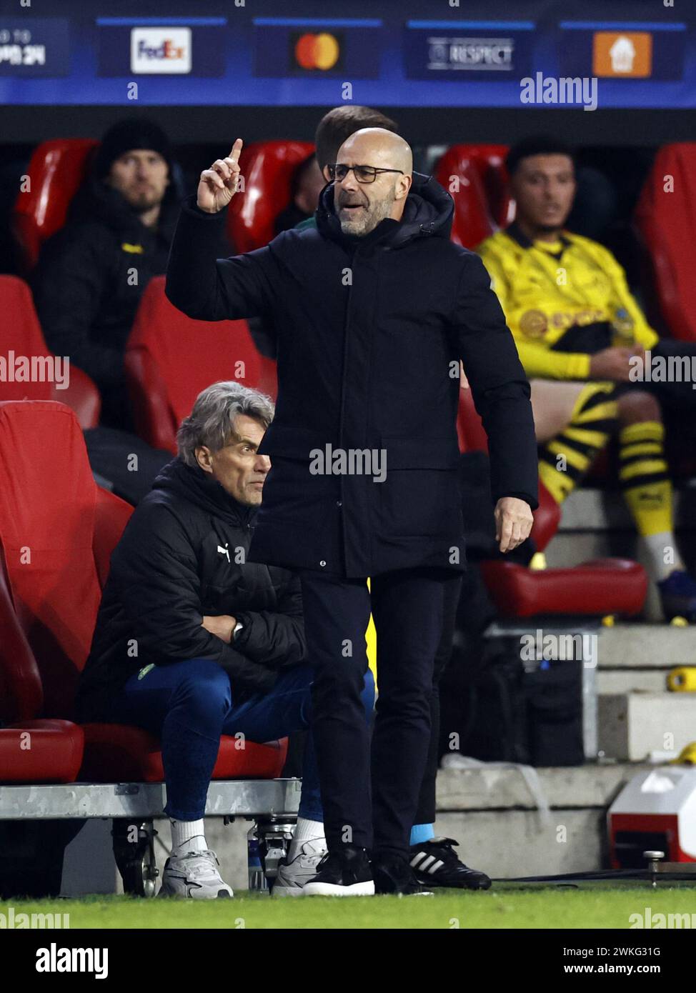 EINDHOVEN - PSV Eindhoven coach Peter Bosz during the UEFA Champions ...