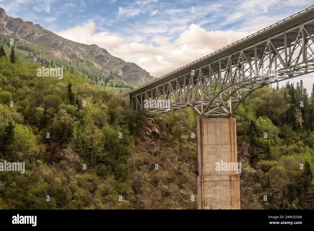 Train Bridge, stretching across the remote Alaskan wilderness Stock ...